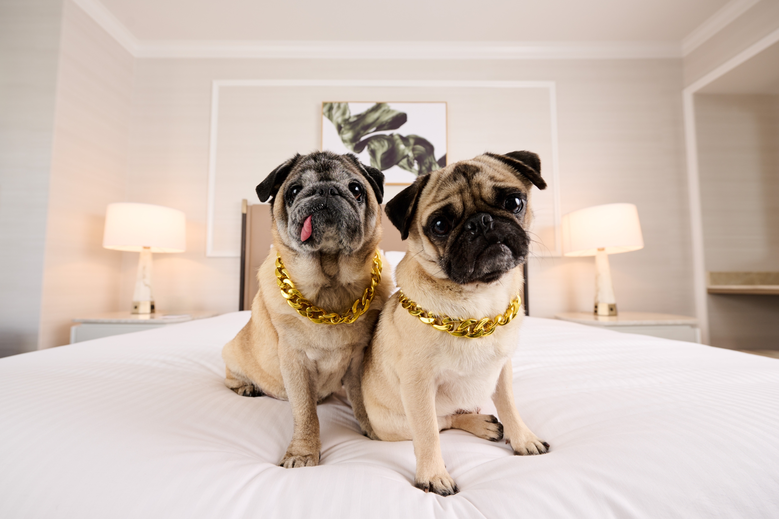 As Good As Gold – Fairmont Chicago